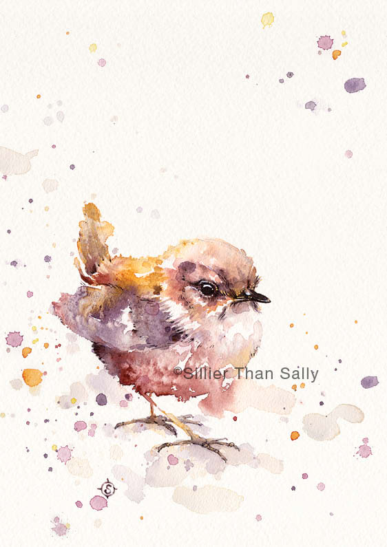 Shop Watercolour Art Prints Australia | Sweet Bird Art – Sillier Than Sally